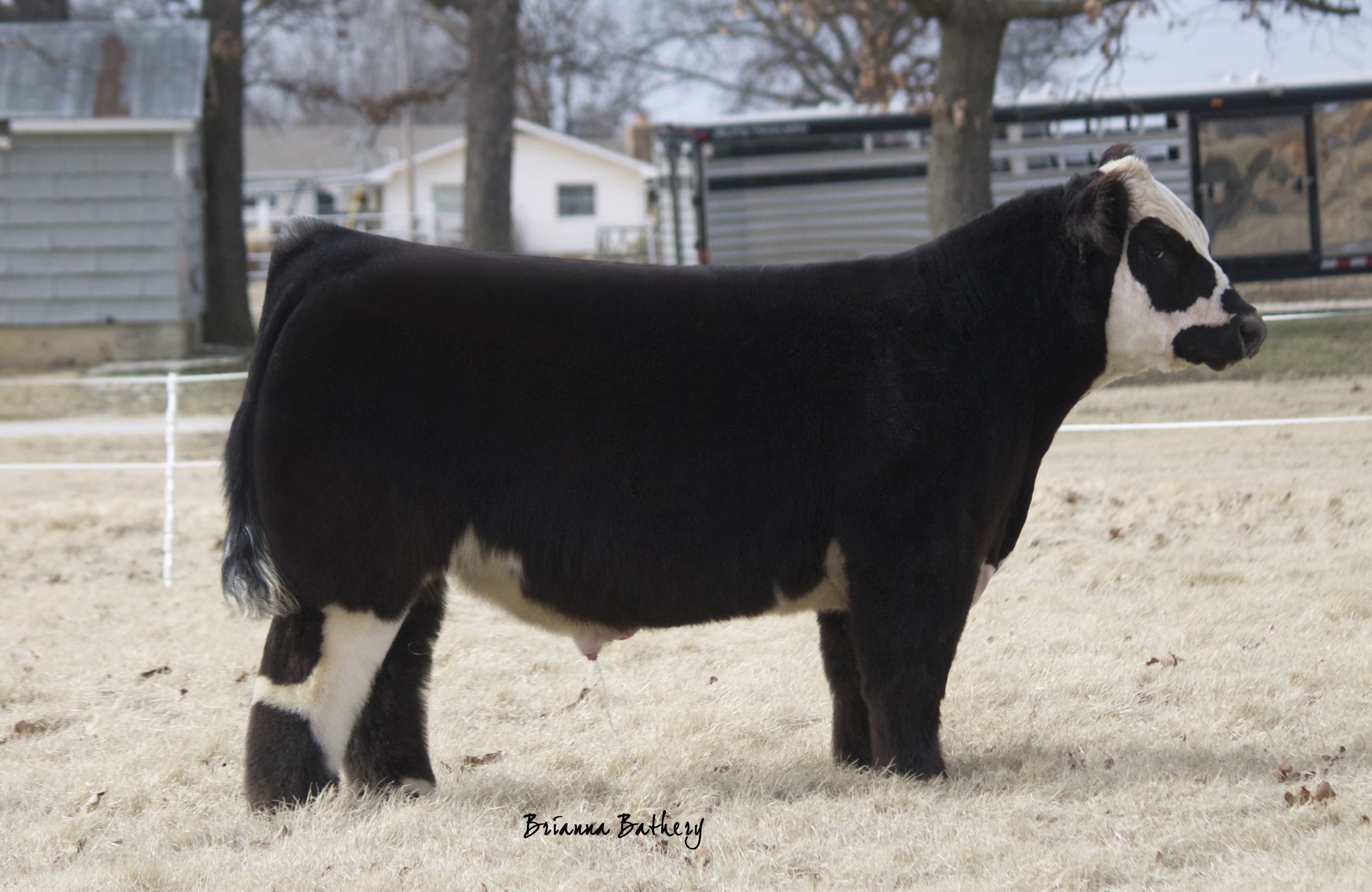 Control Freak – New for 2015!! | Competitive Edge Genetics