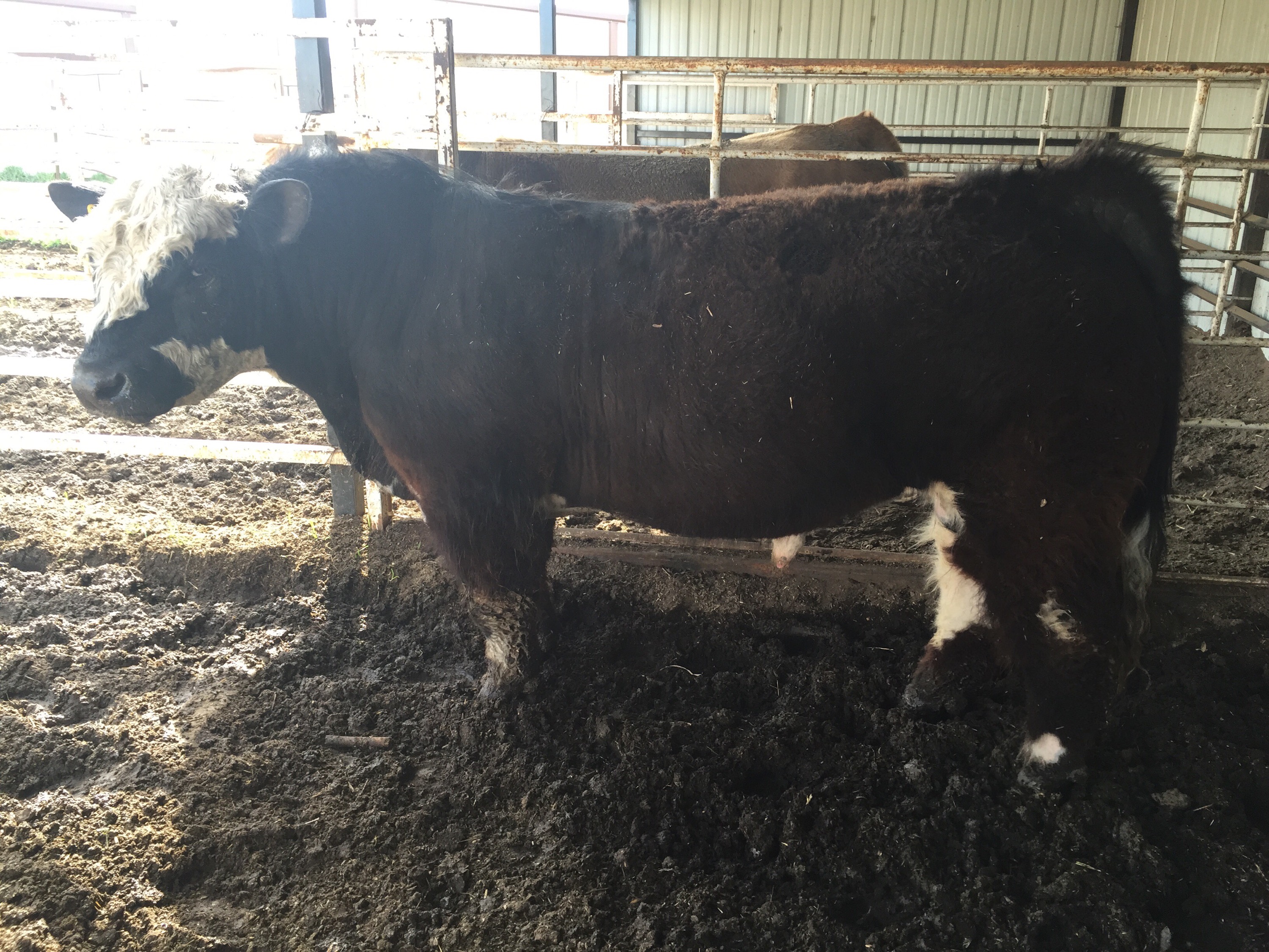 Control Freak | Competitive Edge Genetics