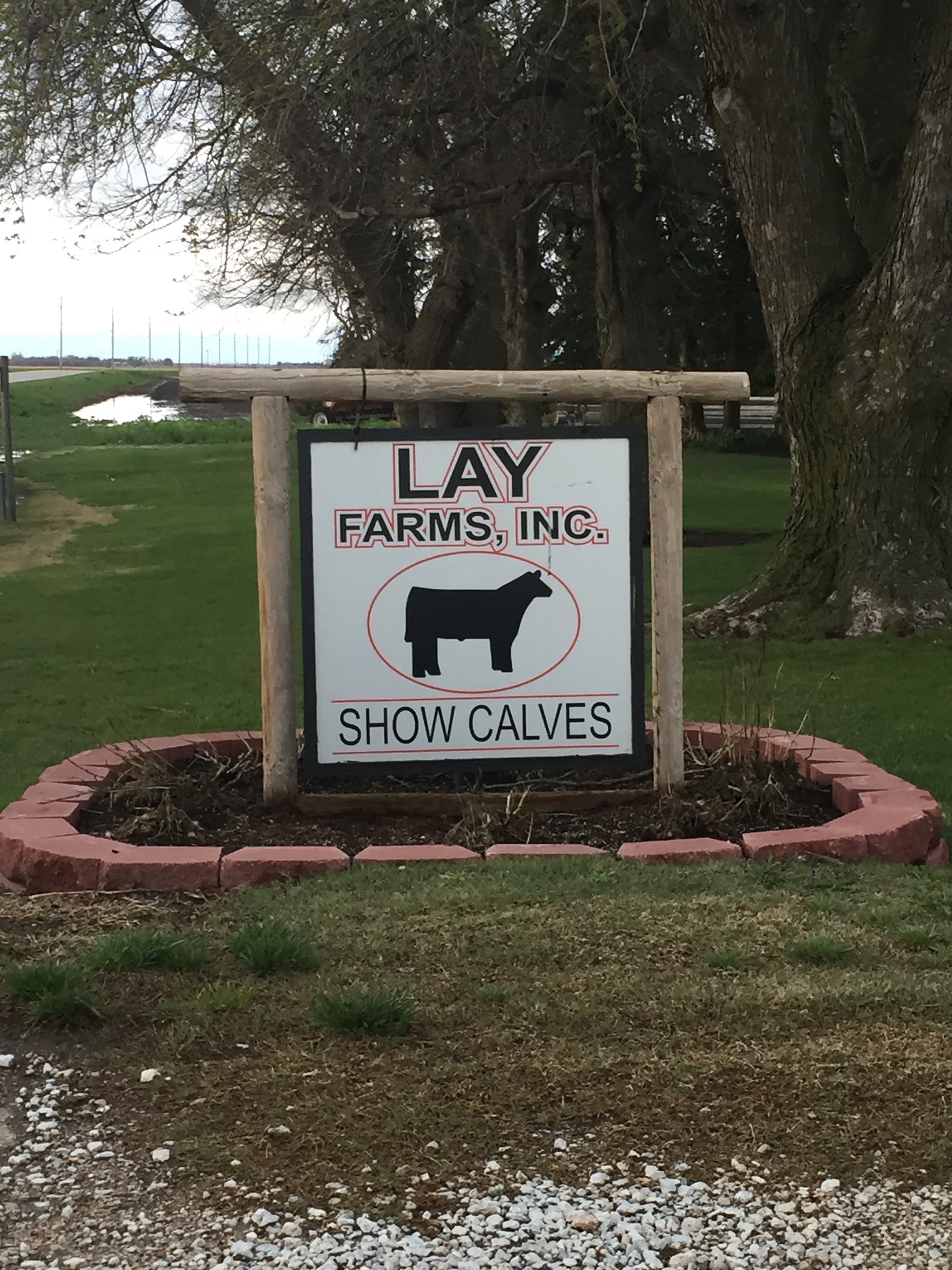 Lay Farms – Nebraska | Competitive Edge Genetics