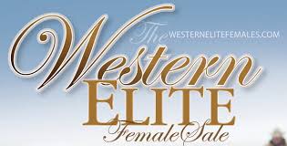 Duello Cattle Company – Wyoming | Competitive Edge Genetics