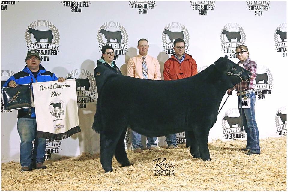 Miller Cattle Company – Kansas | Competitive Edge Genetics