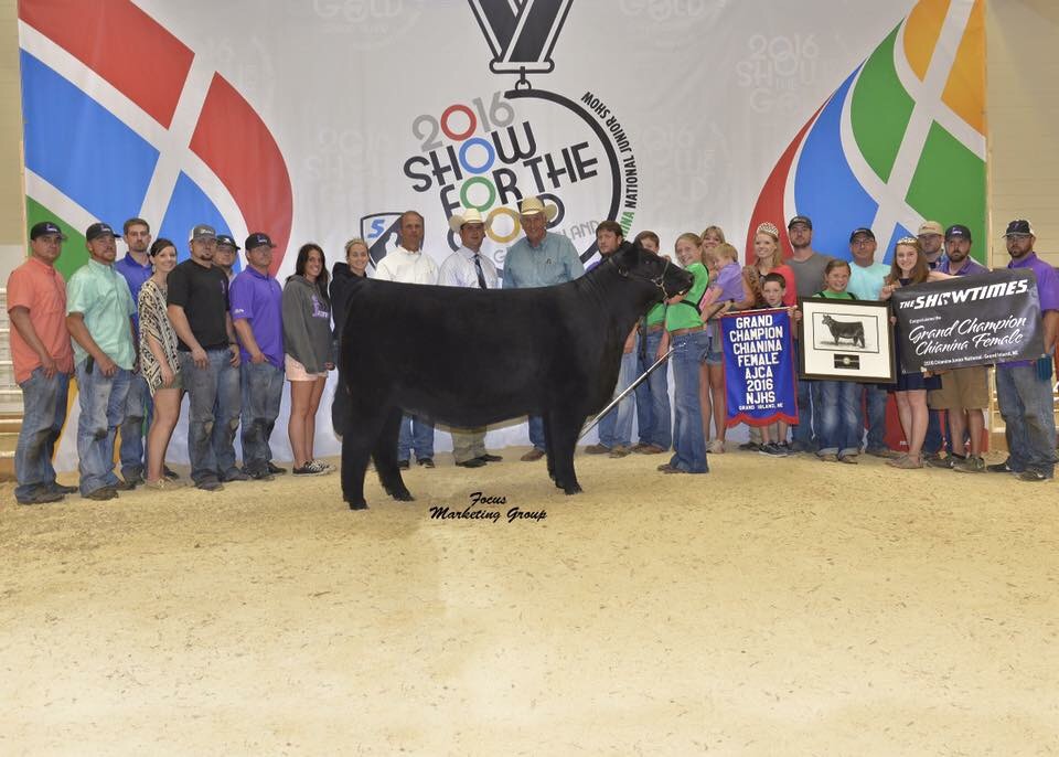 BMW Onset – New For 2017!! | Competitive Edge Genetics