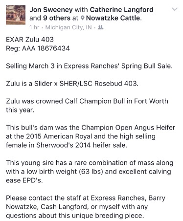 Nowatzke Cattle – Indiana | Competitive Edge Genetics