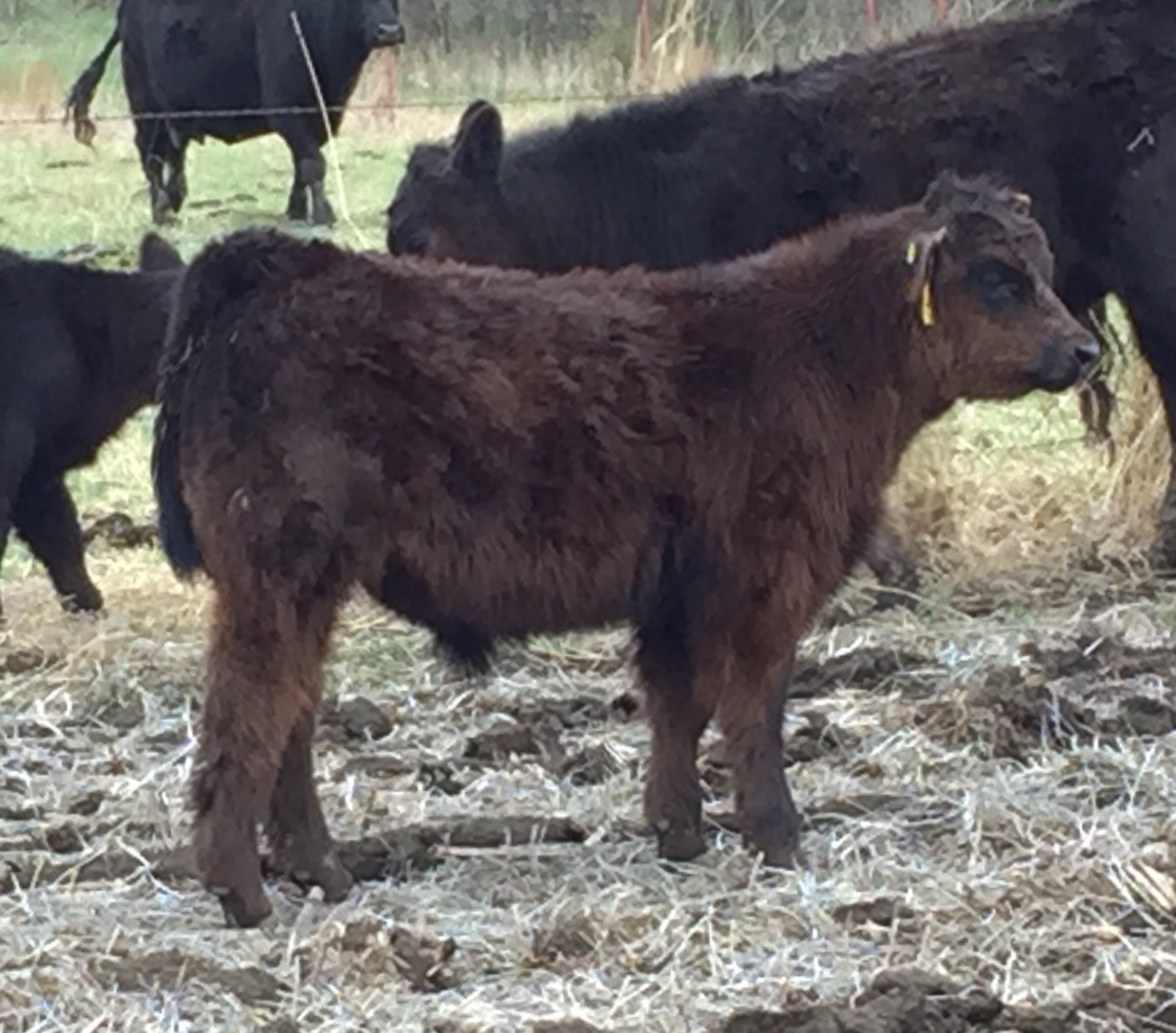 Check These Out!! | Competitive Edge Genetics