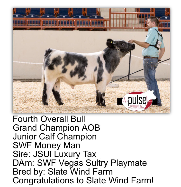 Keystone International Livestock Expo | Competitive Edge Genetics