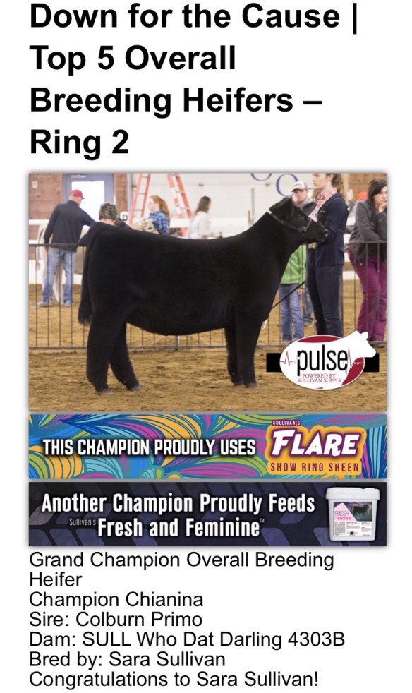 Colburn Primo – Weekend Success!! | Competitive Edge Genetics