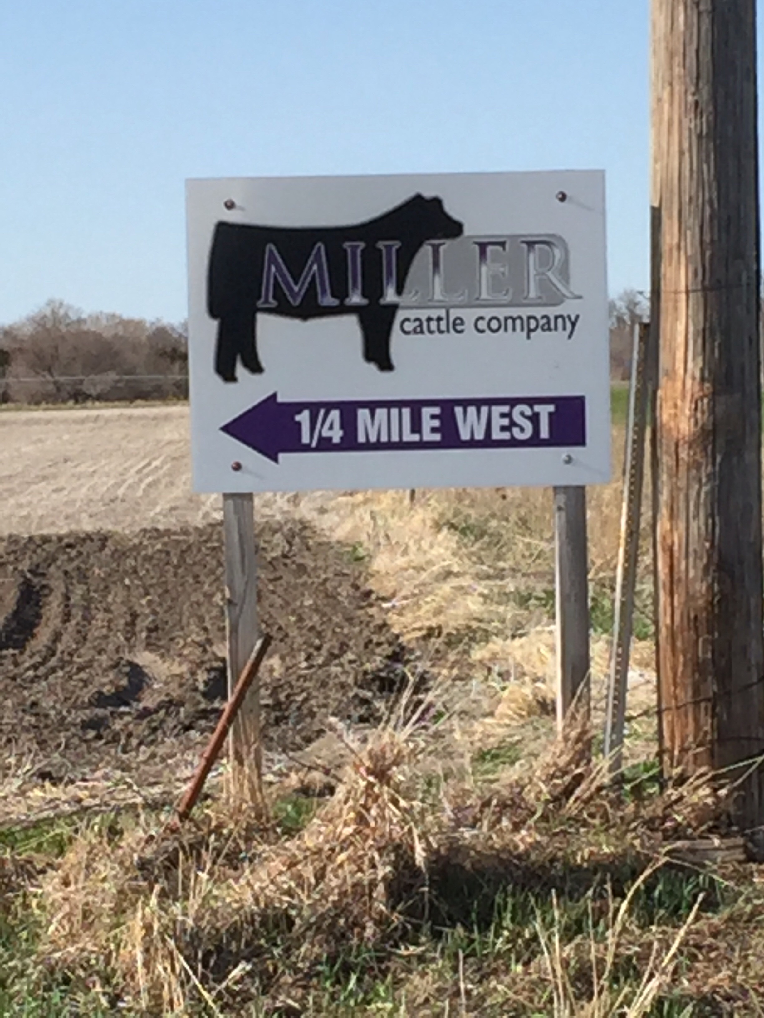 Miller Cattle Company – Nebraska | Competitive Edge Genetics