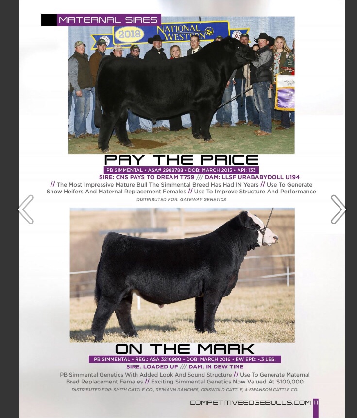 Hottest Purebred Simmental Bulls On The Market!! | Competitive Edge ...