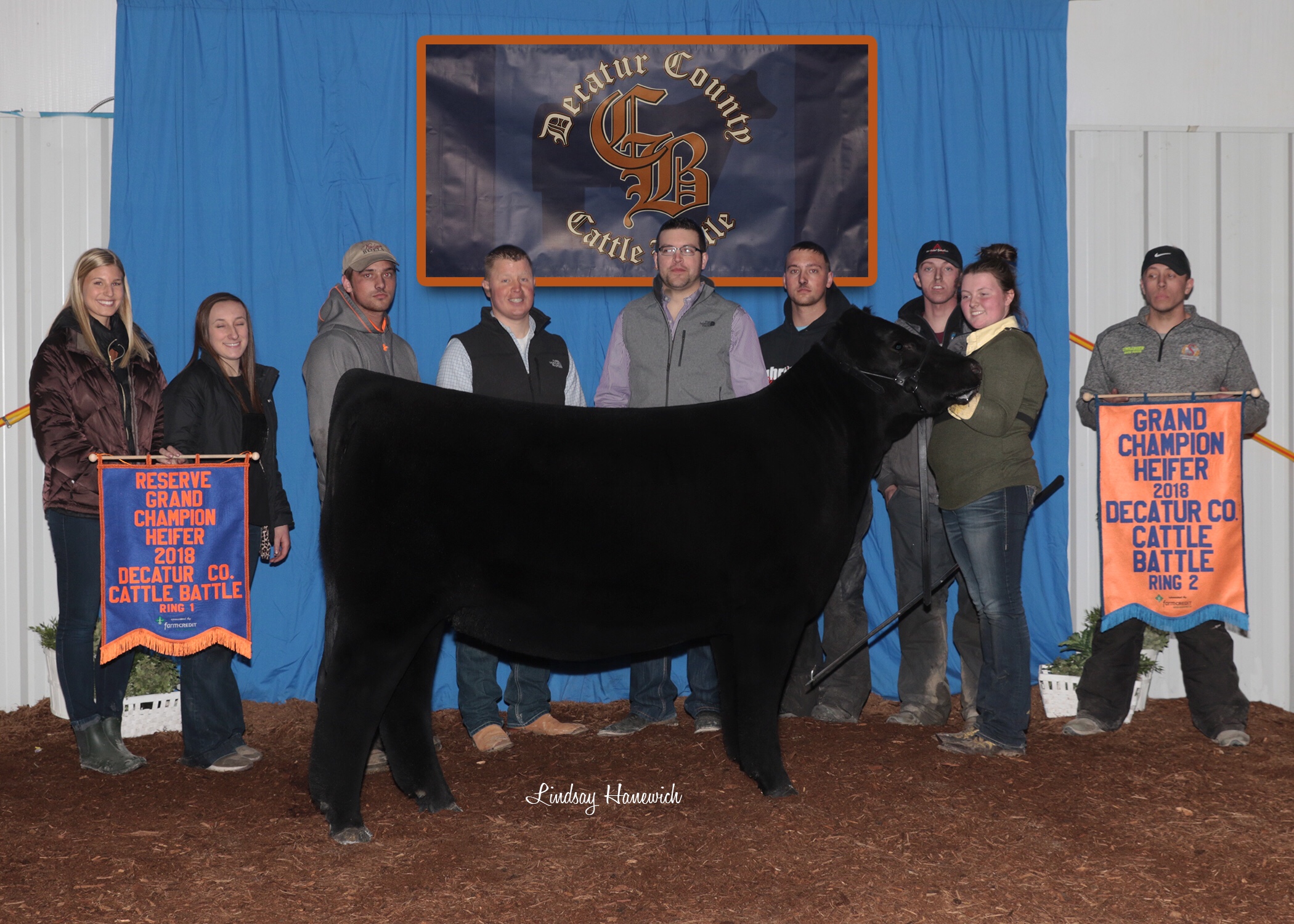 Stephenson Show Cattle – South Dakota | Competitive Edge Genetics
