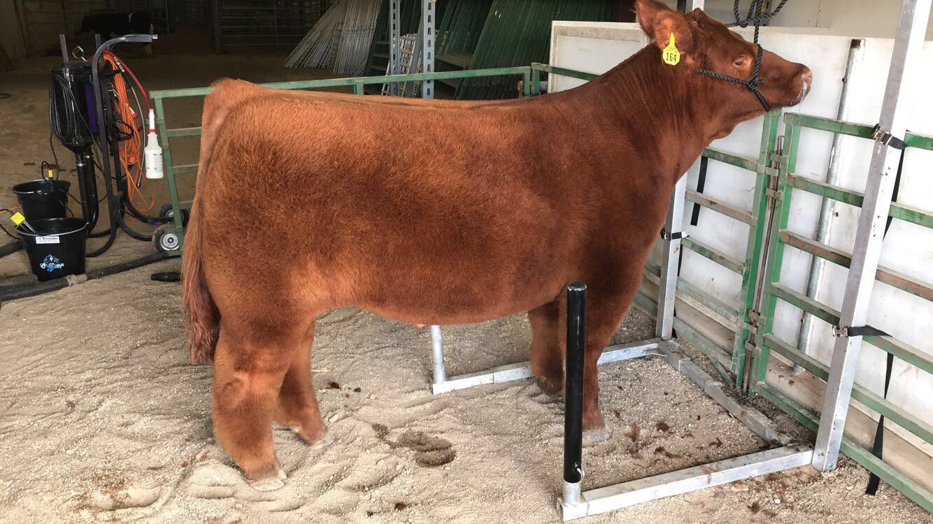 Competitive Edge Genetics