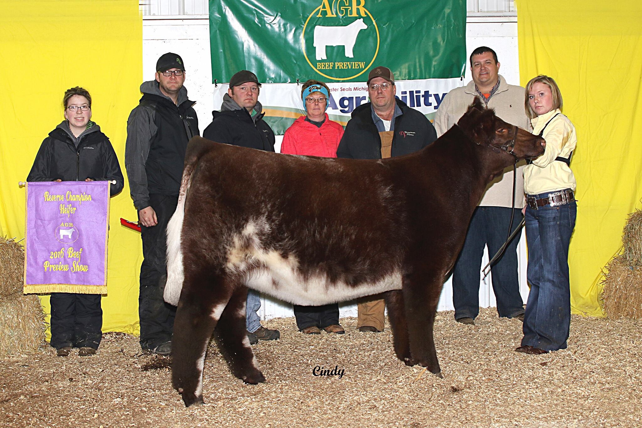 Dragstrem Show Cattle – Indiana | Competitive Edge Genetics