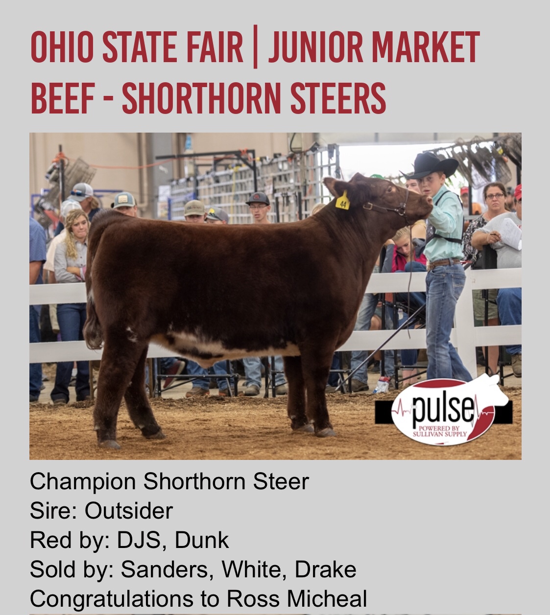 2019 Ohio State Fair | Competitive Edge Genetics