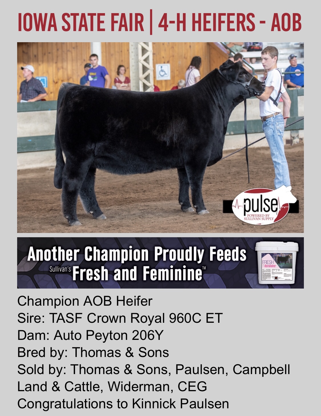 2019 Iowa State Fair | Competitive Edge Genetics