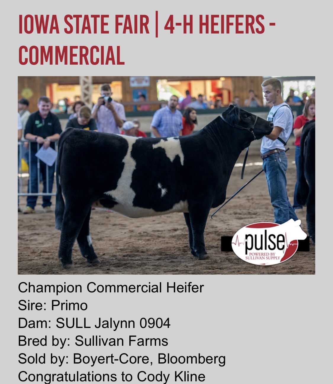 2019 Iowa State Fair | Competitive Edge Genetics