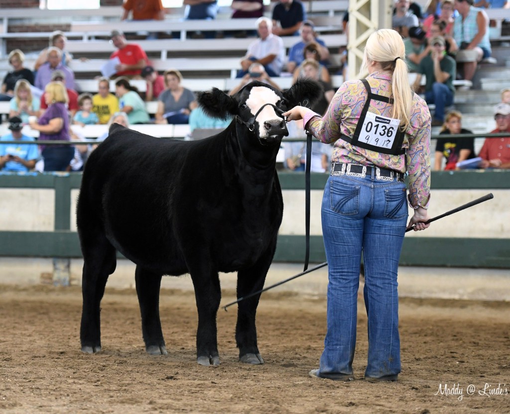 2019 Iowa State Fair | Competitive Edge Genetics