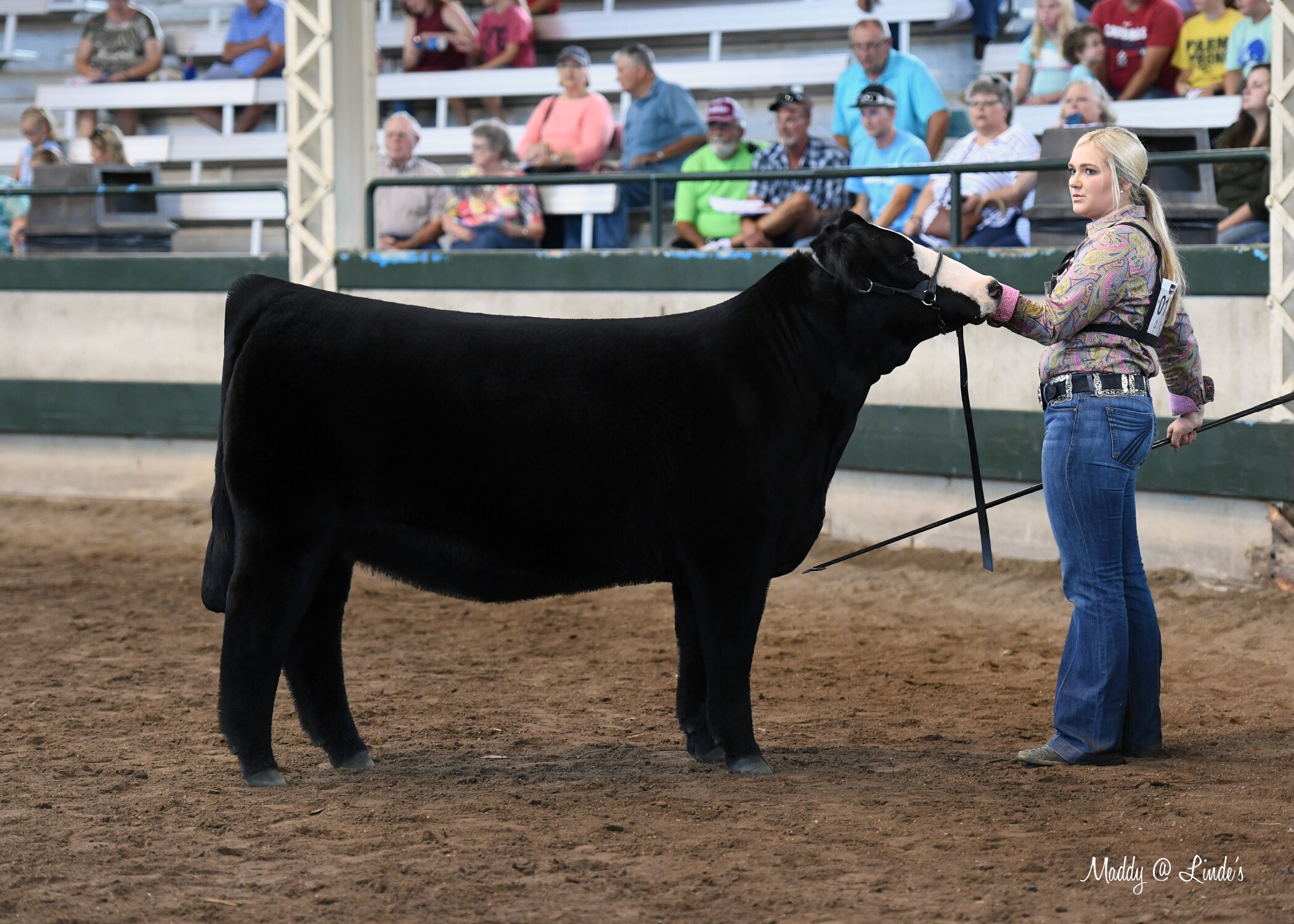 2019 Iowa State Fair | Competitive Edge Genetics