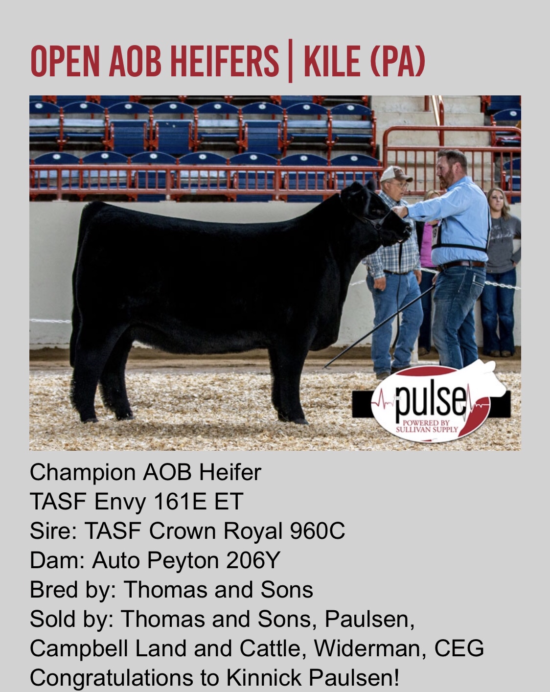 2019 Keystone International Livestock Expo – Pennsylvania | Competitive ...