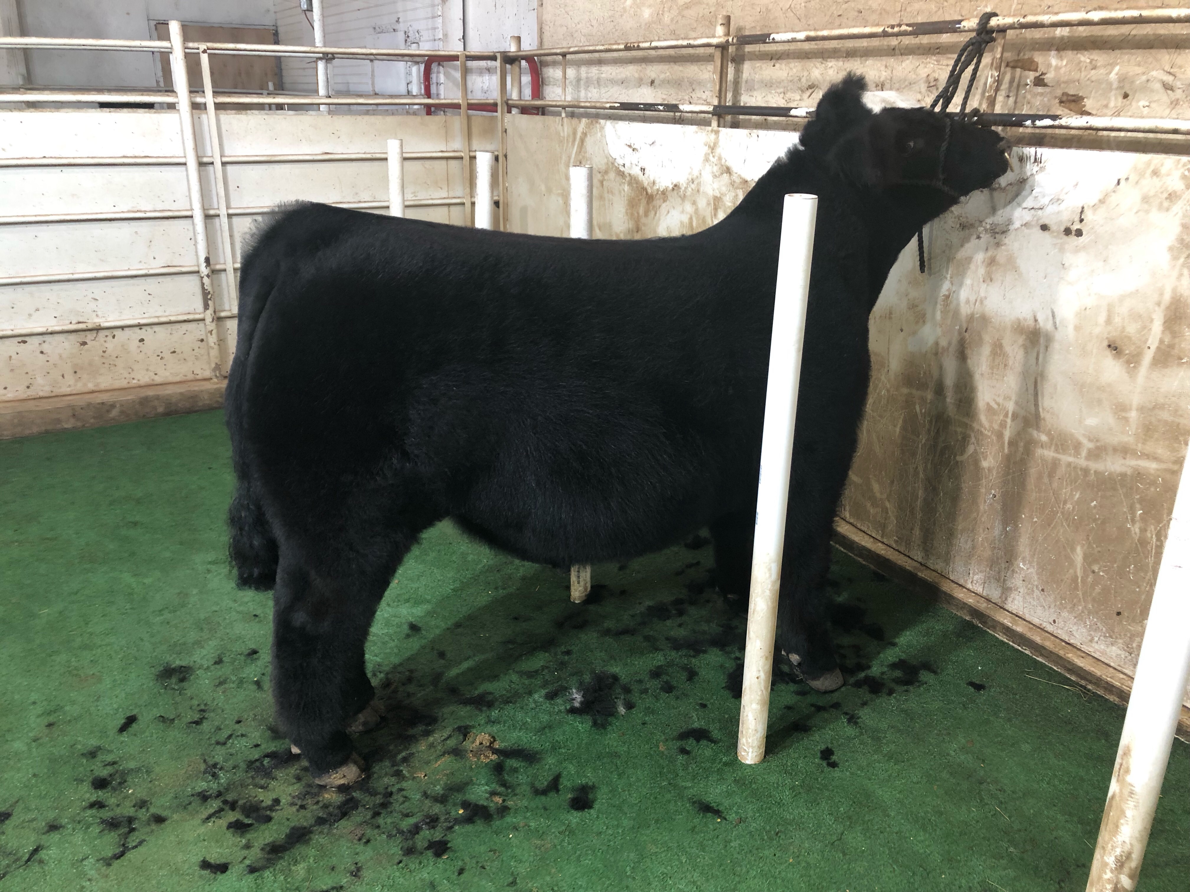 Mind Over Matter | Competitive Edge Genetics