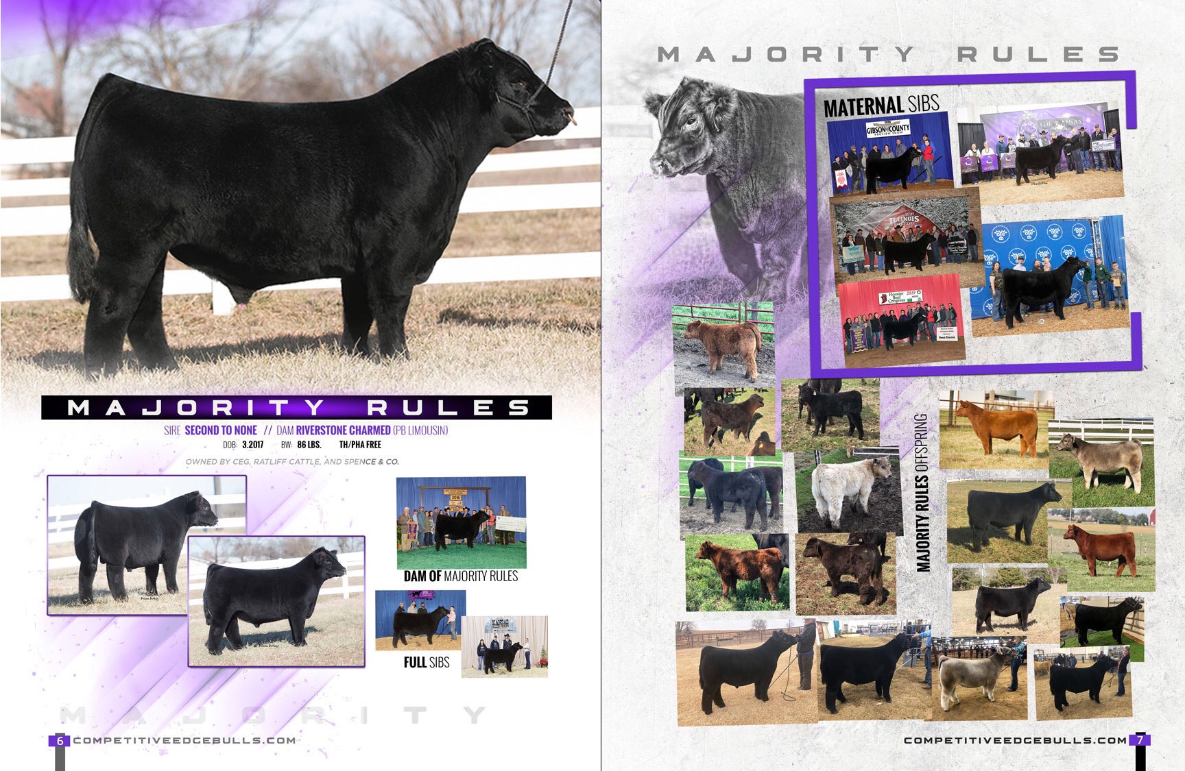 Double Clean Outcross Genetics – Majority Rules – Order Today ...