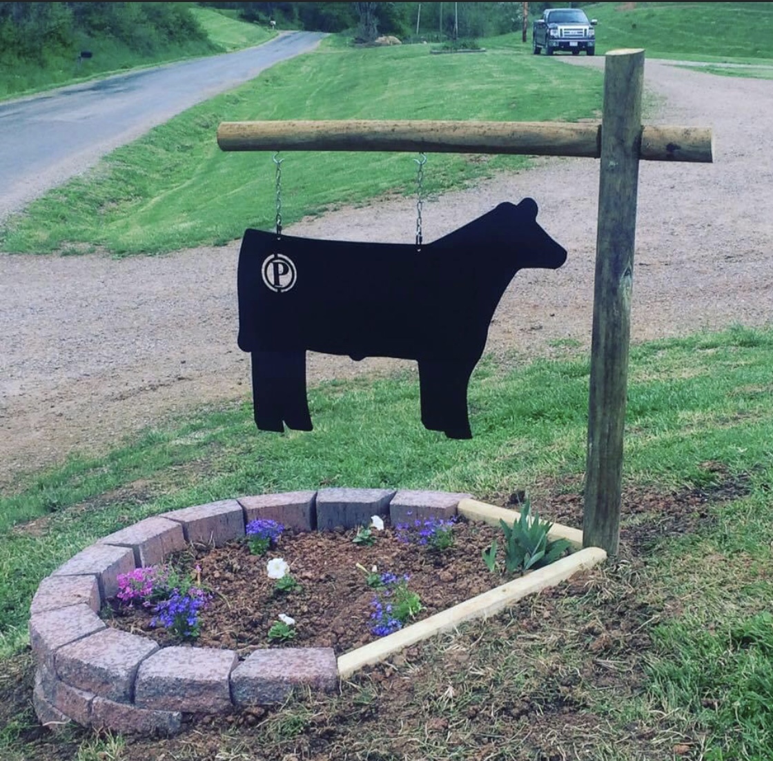 Circle P Farms – Ohio | Competitive Edge Genetics