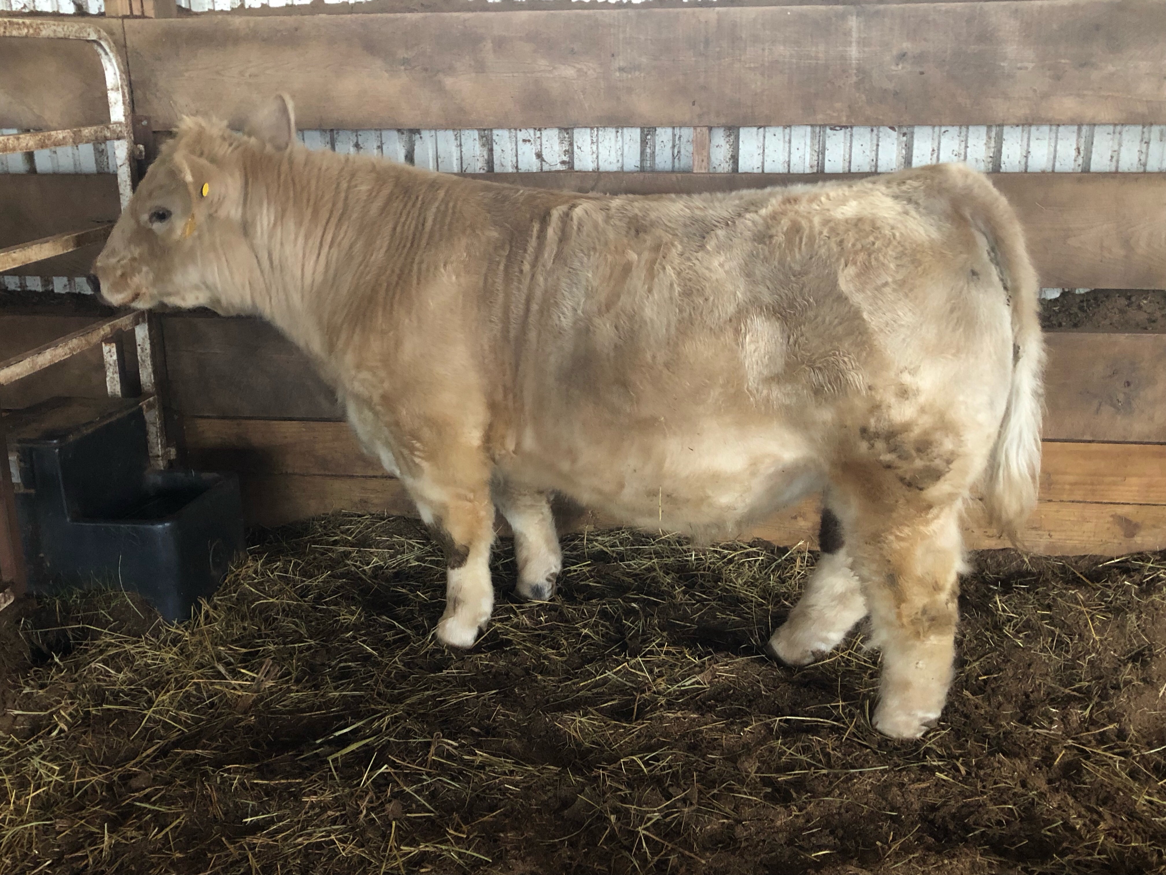 Gotcha Covered | Competitive Edge Genetics