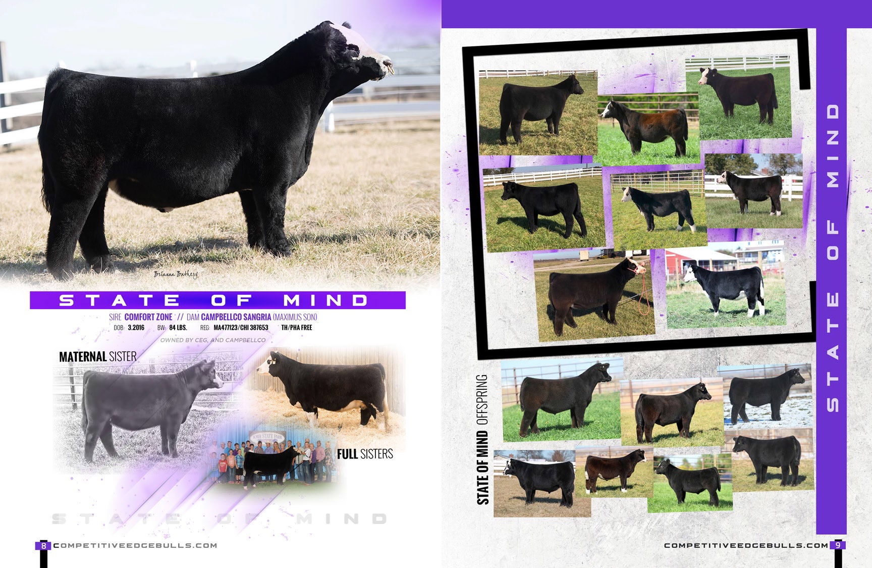 Jeremy Beeson Cattle – Iowa | Competitive Edge Genetics