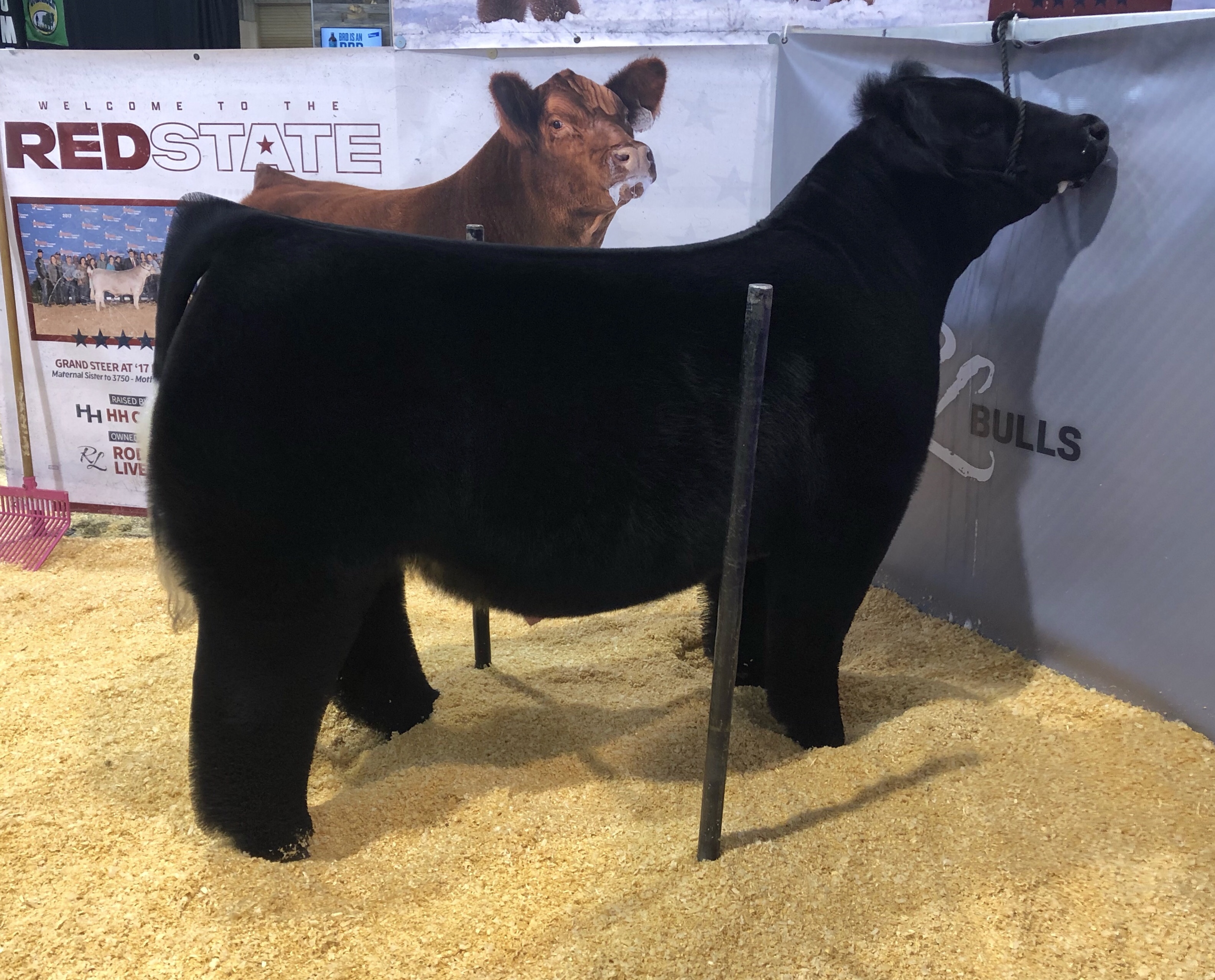 ”Tricked Out” on display in OKC!! | Competitive Edge Genetics