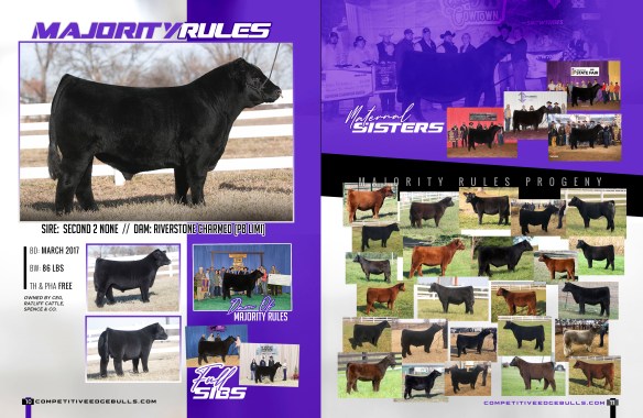 Most Consistent Double Clean Outcross Club Calf Sire…Period ...
