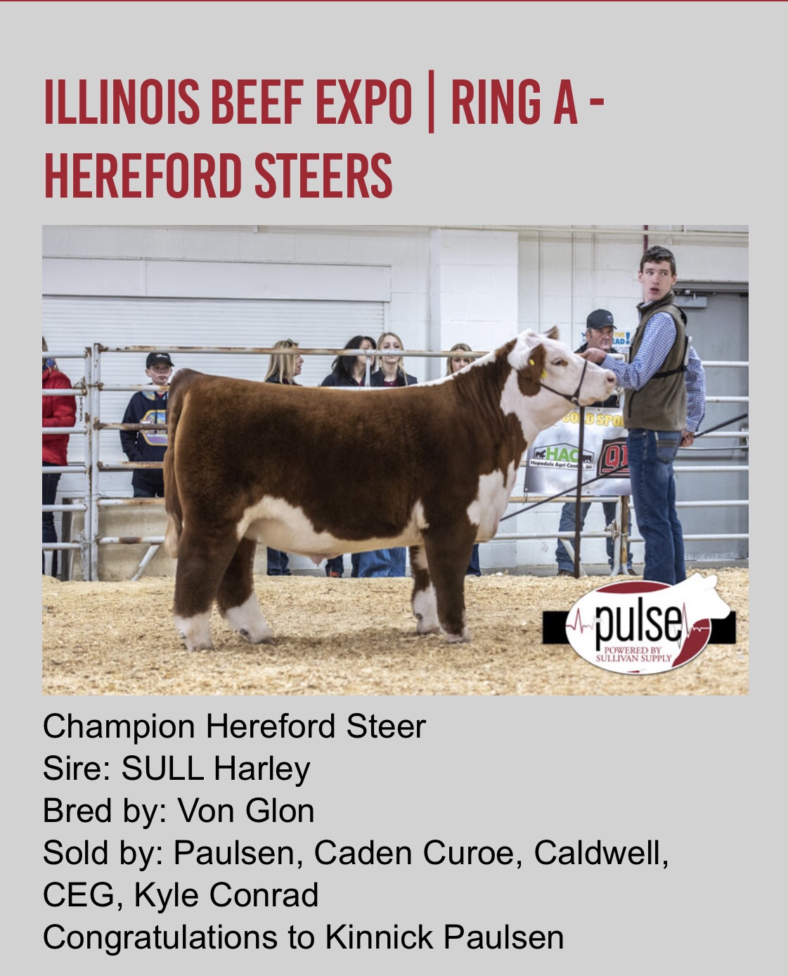 2021 Illinois Beef Expo | Competitive Edge Genetics